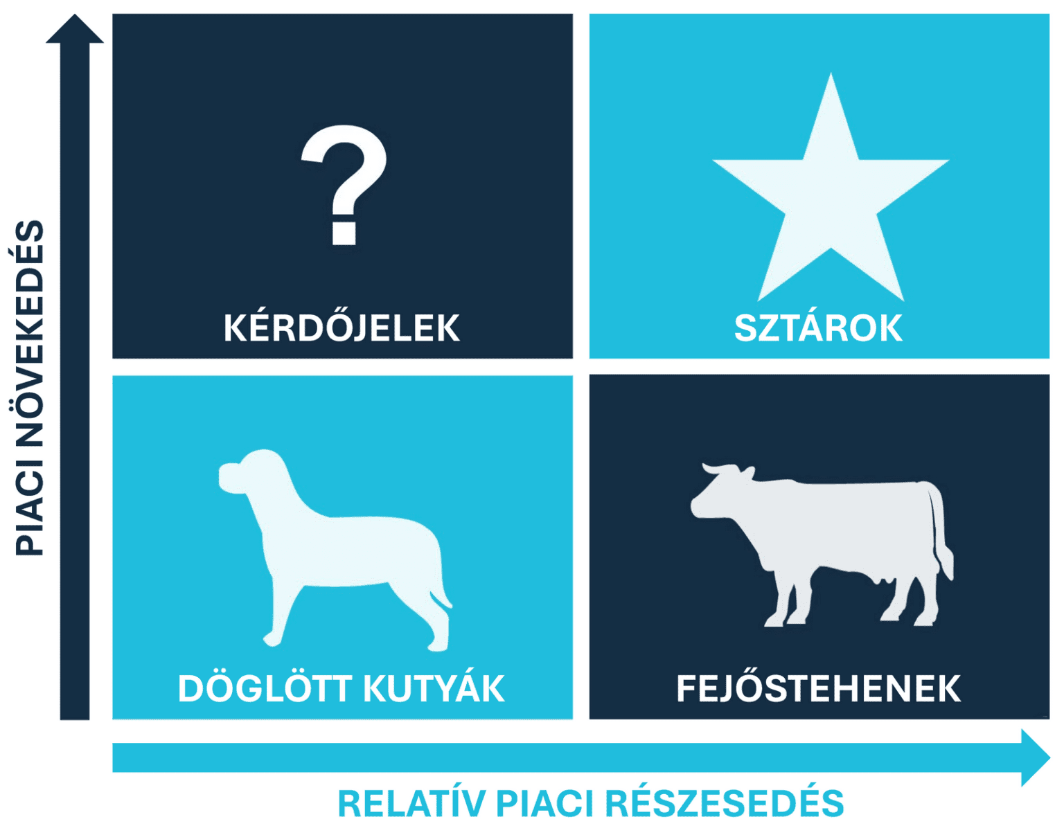 BCG mátrix fogalma és jelentése